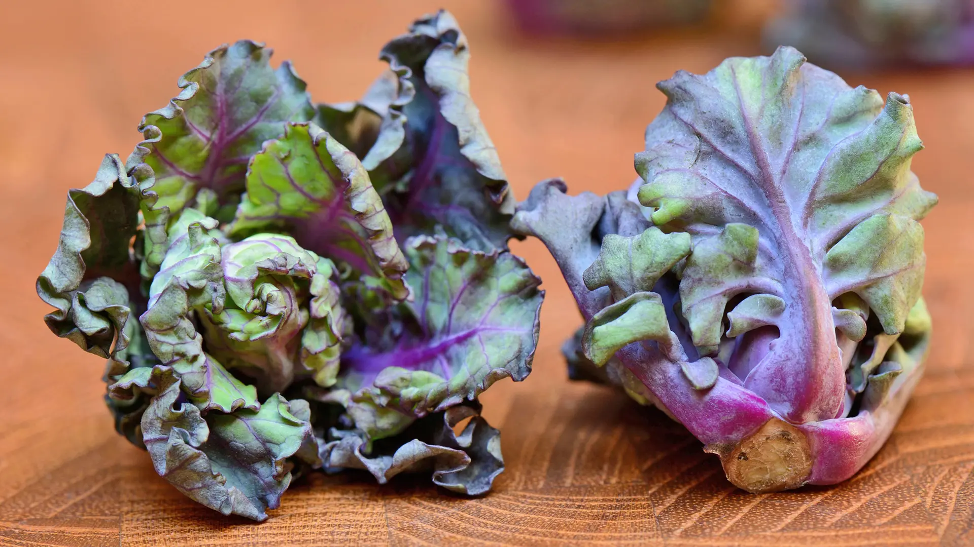 Flower Sprouts: Gesunder Minikohl für leckere Wintergerichte | ndr.de