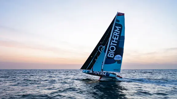 Segeln: Orcas voraus beim Ocean Race Europe - Was tun gegen die Gefahr ...