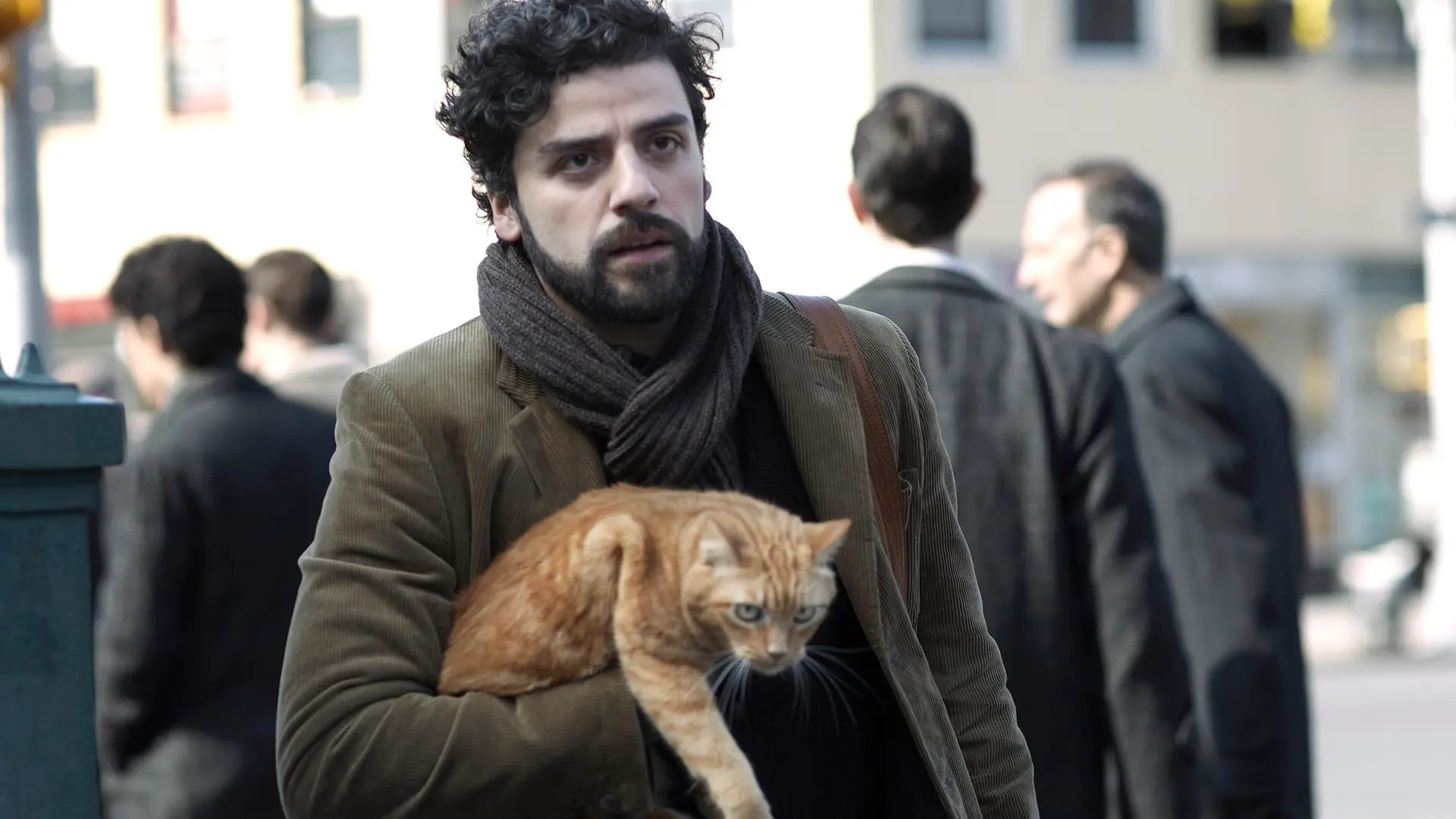 "Inside Llewyn Davis" - Musikfilm der Coen-Brüder in ARD Mediathek | ndr.de