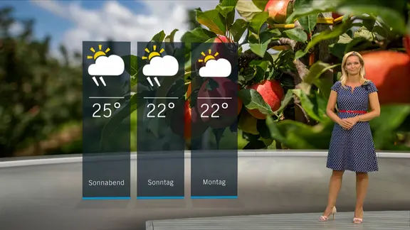 Video bokep hamster indo her place is straightforward to