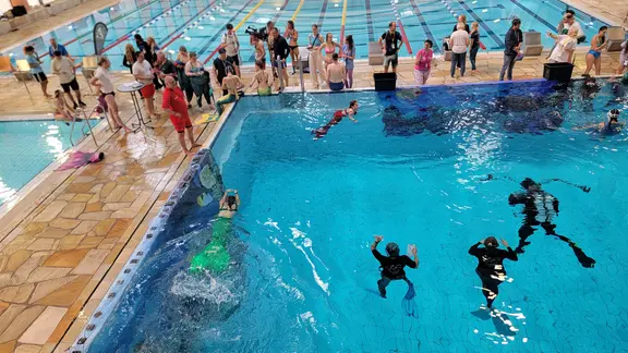 Merlympics: Wer ist die (der) beste Meerjungfrau (-mann)? | ndr.de