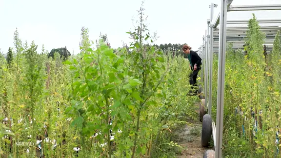 Ankita singh only fans xxx videos tall pretty unique fairly