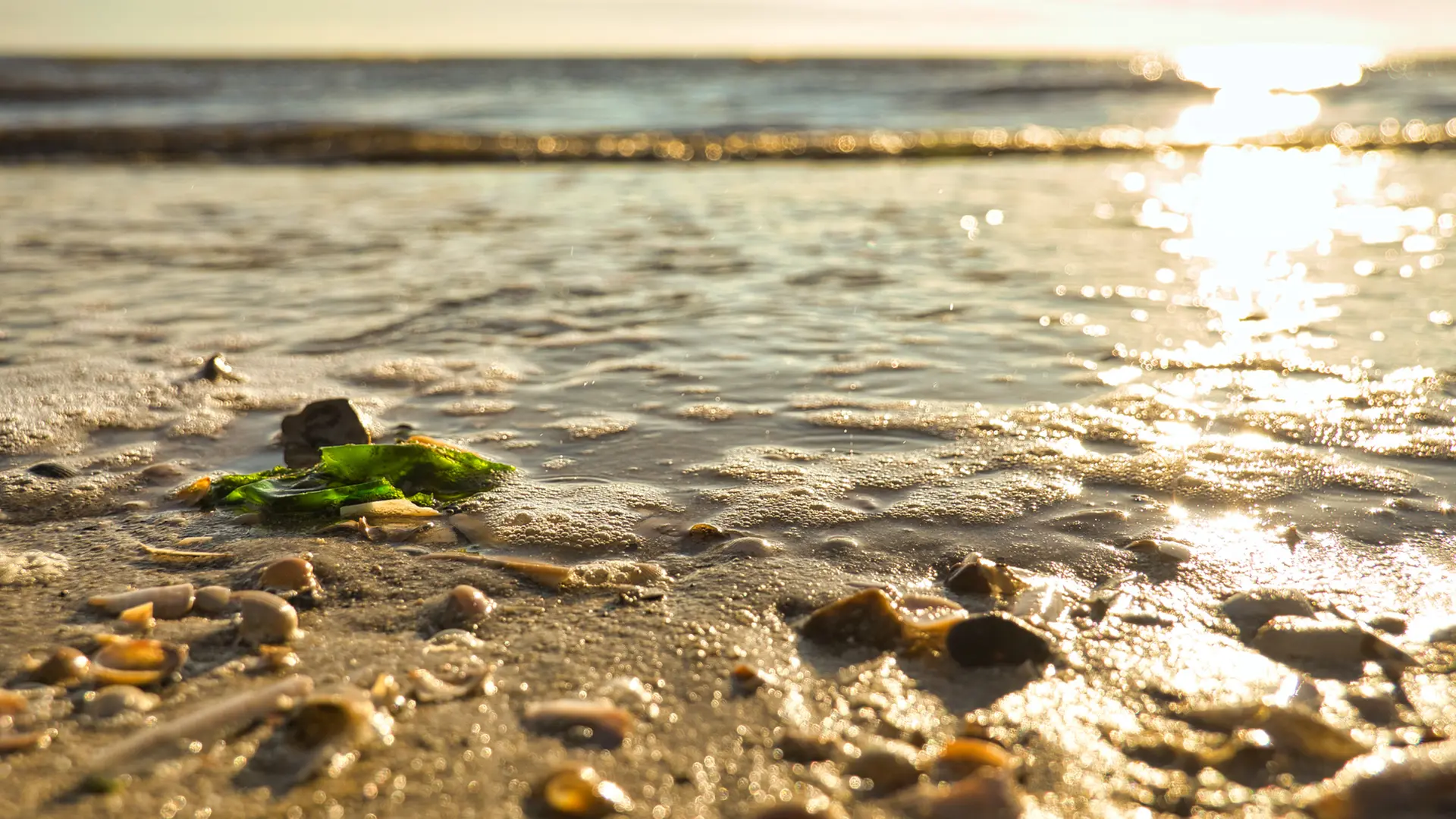 BINGO! - Die Umweltlotterie | ndr.de