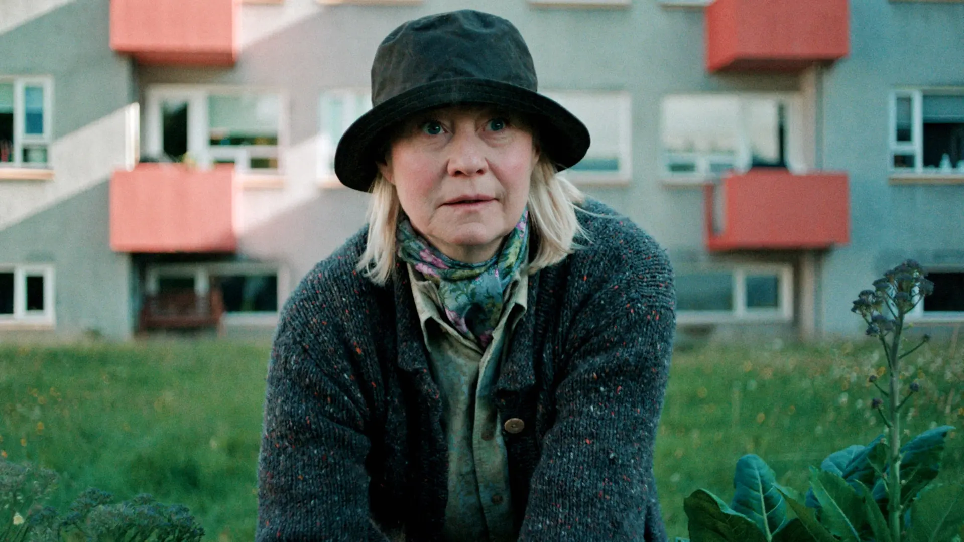 Mediathektipps: "Danish Woman", "Wirecard", "Das Beste kommt noch" | ndr.de