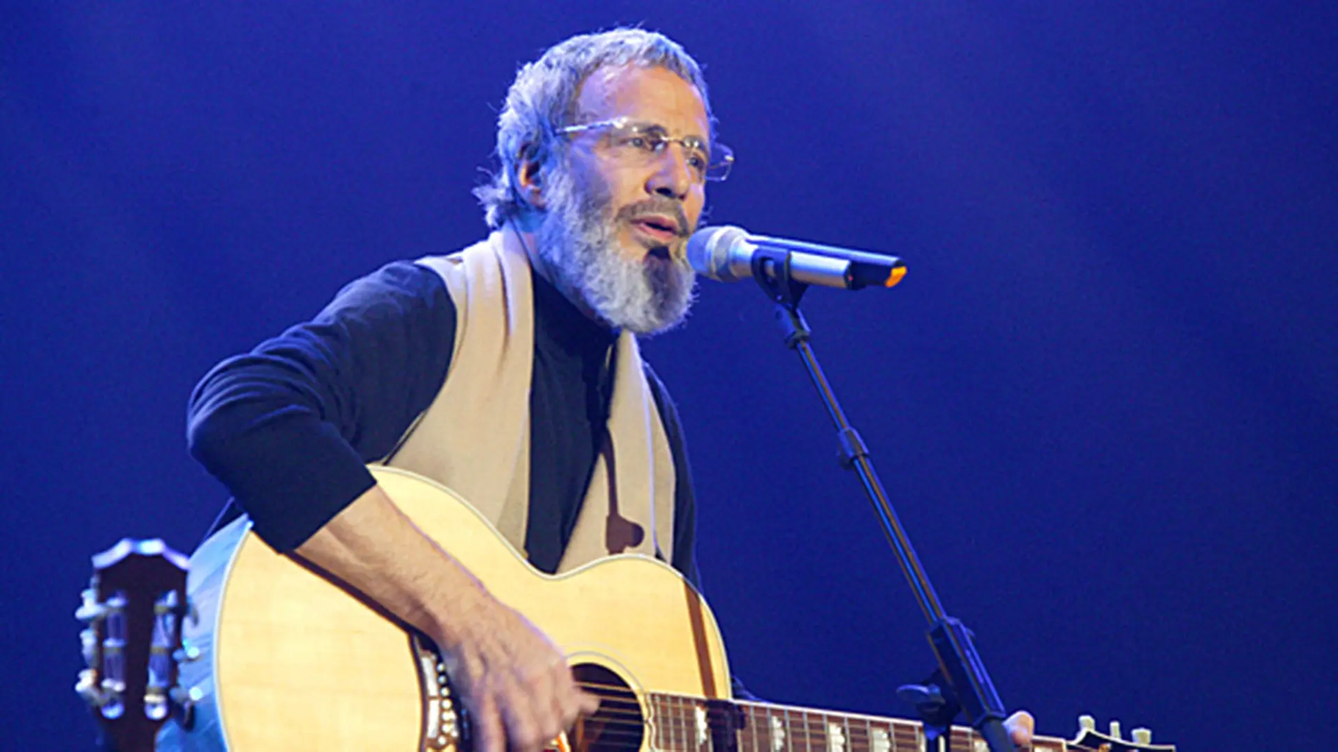 Cat Stevens - "Lady d'Arbanville" | ndr.de