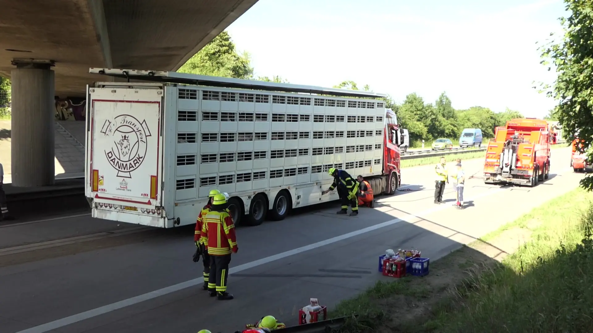 A24 nach Unfall mit Schweinetransporter wieder frei | ndr.de
