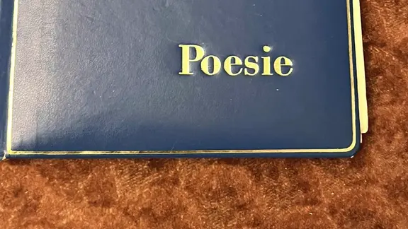 Kindermusical mit Gesellschaftskritik: "Anouk" feiert Premiere | ndr.de