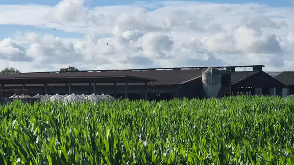 Alessi4 nudes jo is a elegantly built attractive Brazilian