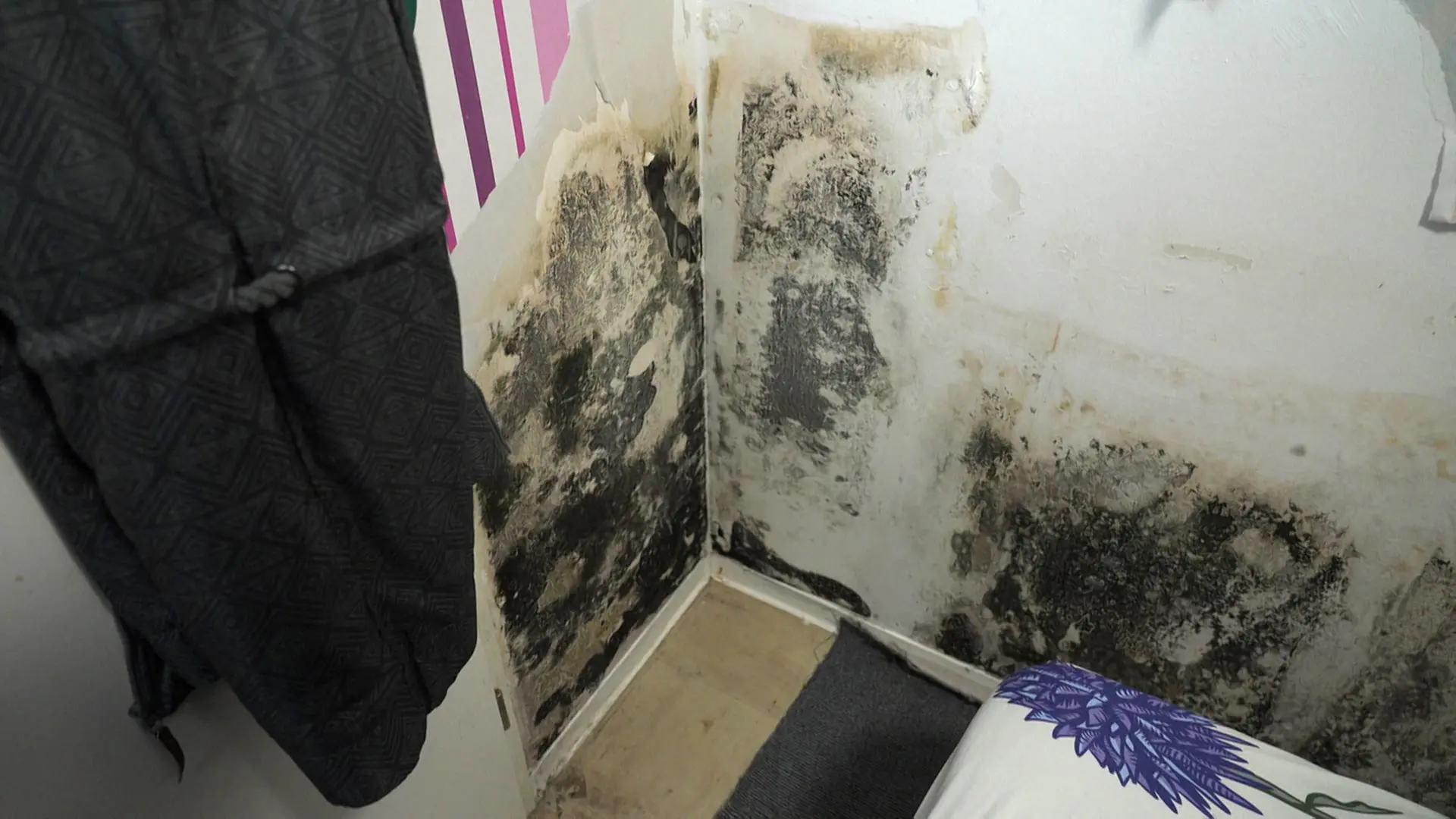 Hölk-Häuser in Bad Oldesloe: Familie lebt seit Monaten im Schimmel | ndr.de