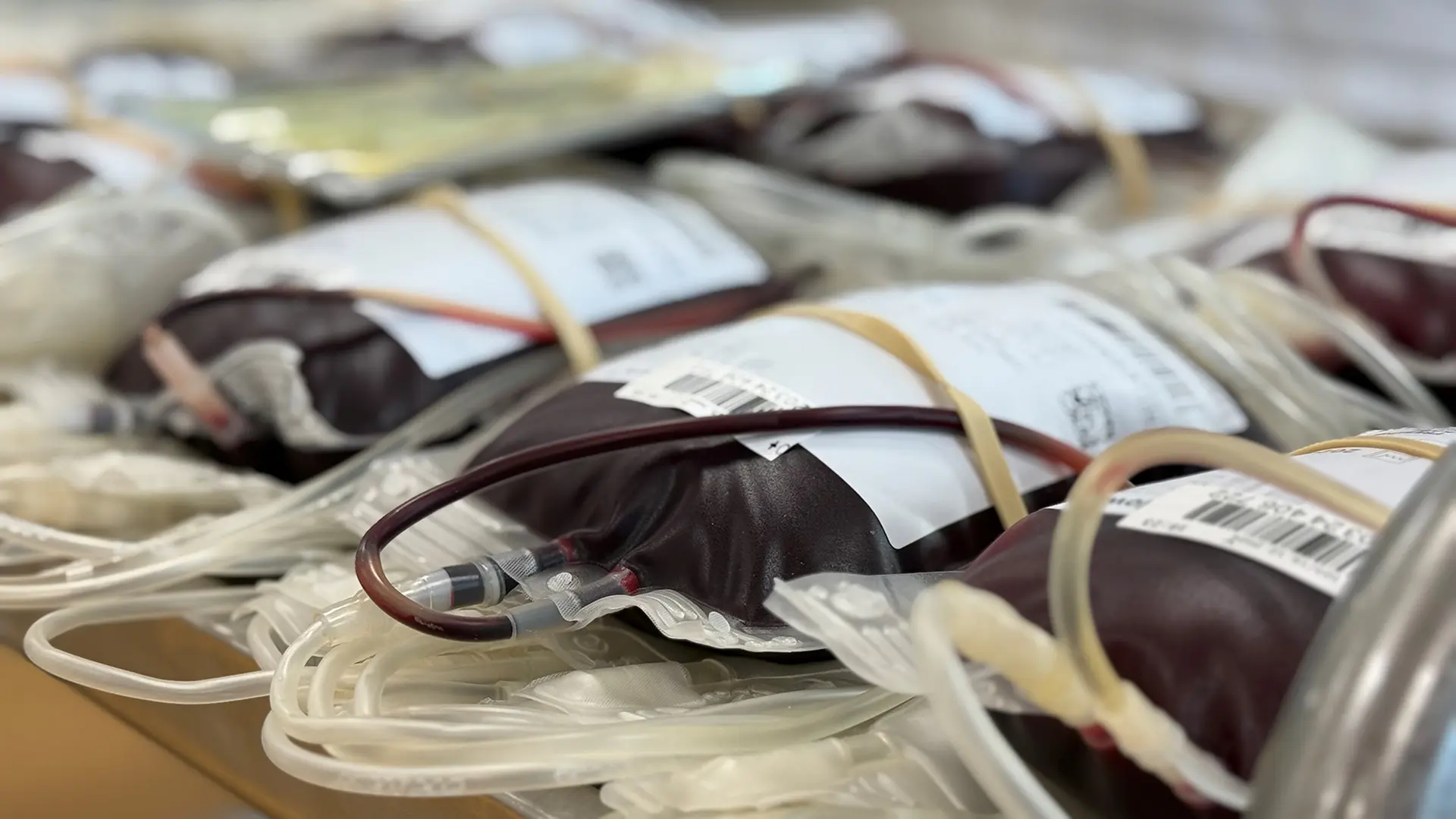 Blutkonserven in Vorpommern werden knapp | ndr.de