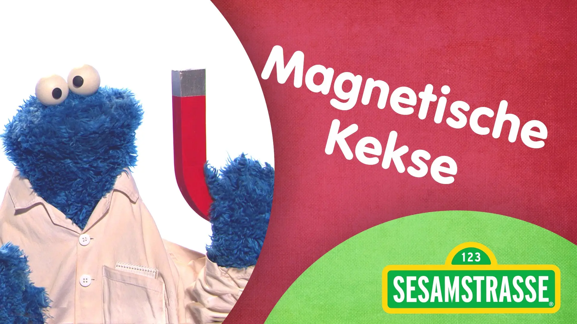 AD.Magnetische Kekse | ndr.de