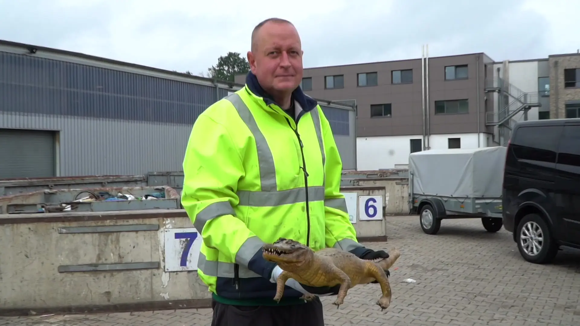 Lauren cat 2025 we tidied up, cuddled for a while, and