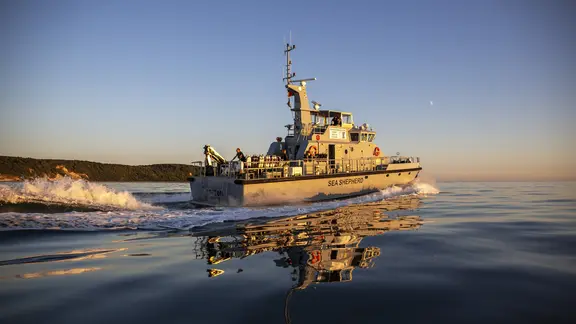 Sea Shepherd birgt tonnenweise Geisternetze aus der Ostsee | ndr.de