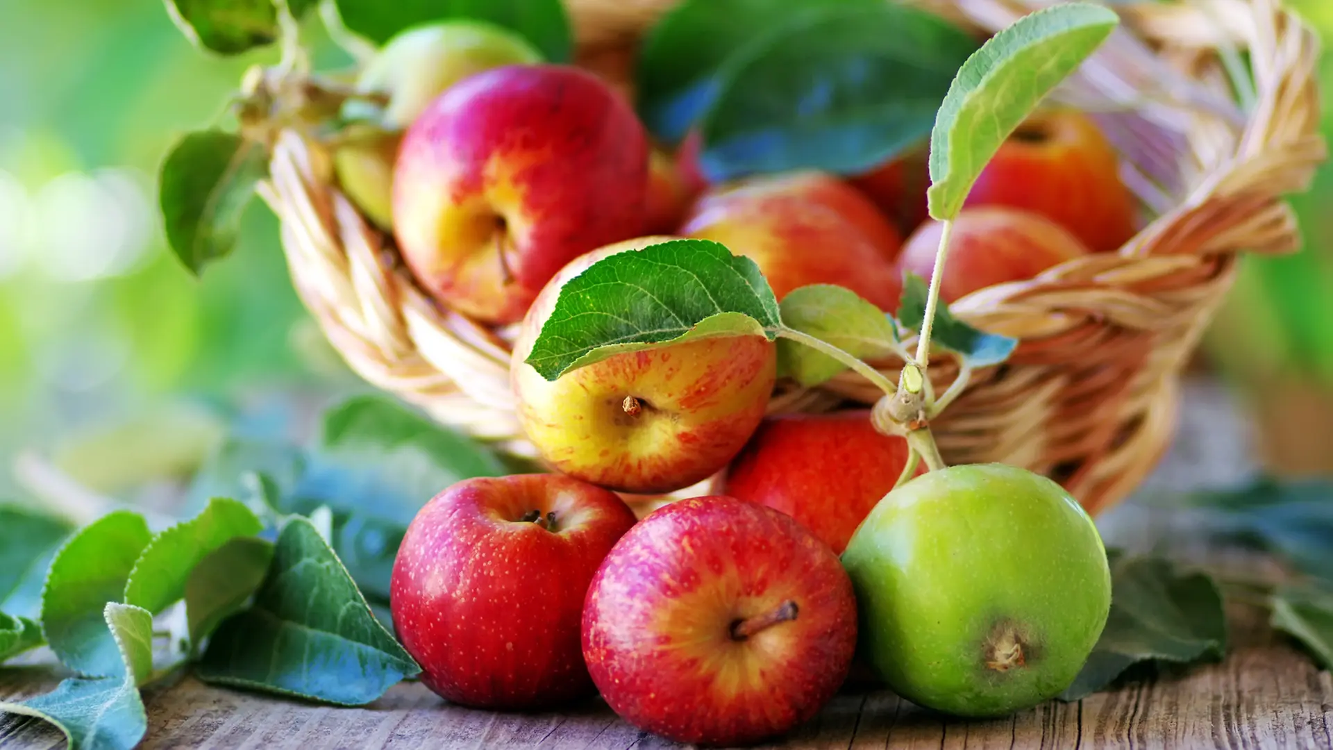 Jan Wagner über den Apfel in der Poesie: "Von hoher Symbolkraft" | ndr.de