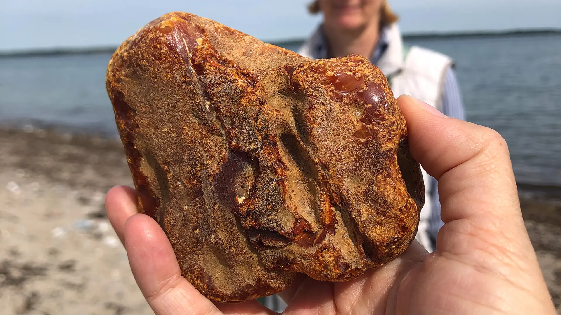 190 Gramm schwerer Bernstein am Ostsee-Strand in Lindhöft gefunden | ndr.de