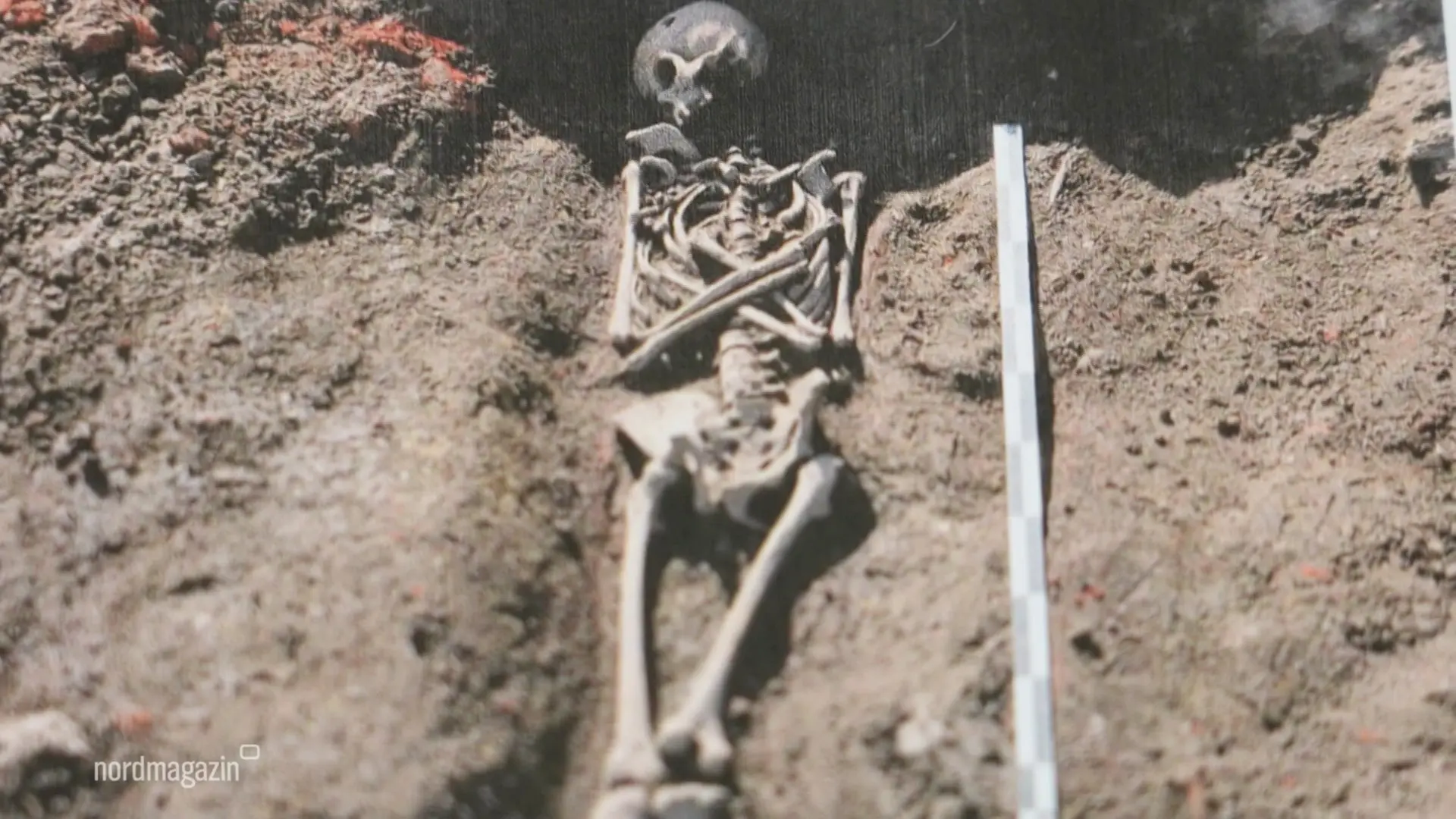 Massengrab in Greifswald entdeckt – 300 junge Männer aus dem ...