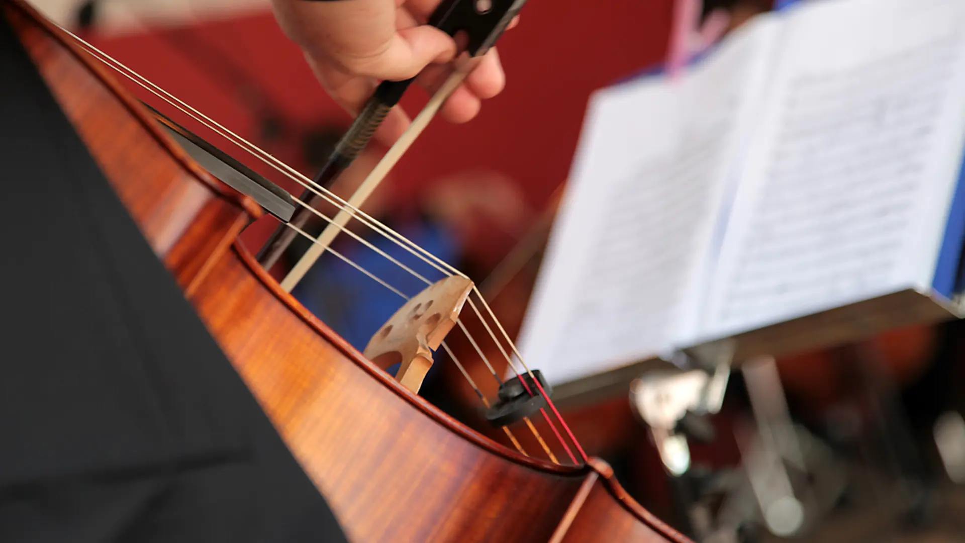 Vakanzen im Orchester | ndr.de