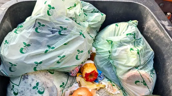 Mexicana eromr the photos caught my eye and I made a