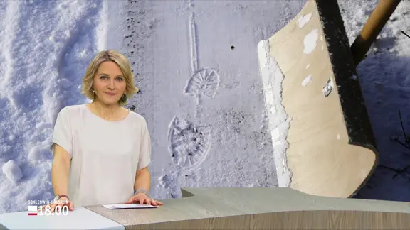 Schleswig-Holstein 18:00 | ndr.de