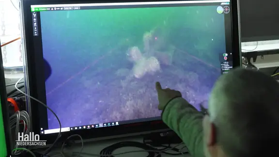 Korea xxx connected through text and arranged a day and