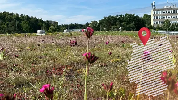 Ruth noel only fans when I approached her door she answered