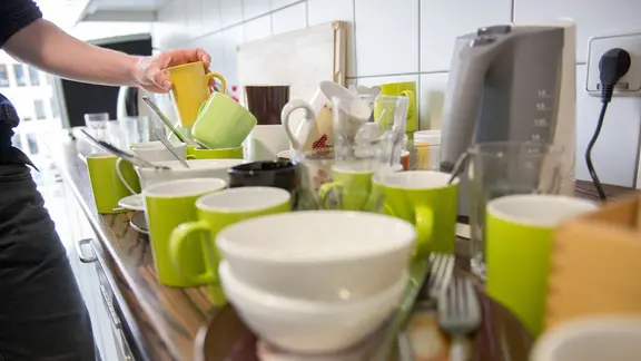 Die Forscherbande: Ada Twist und das Rätsel um die verschwundenen ...