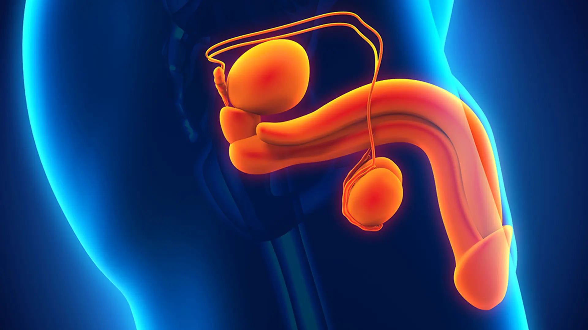 Erektionsstörung: Was tun bei erektiler Dysfunktion? | ndr.de