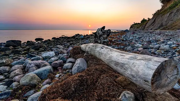 Brodtener Steilufer: Wandern mit Blick auf die Ostsee | ndr.de