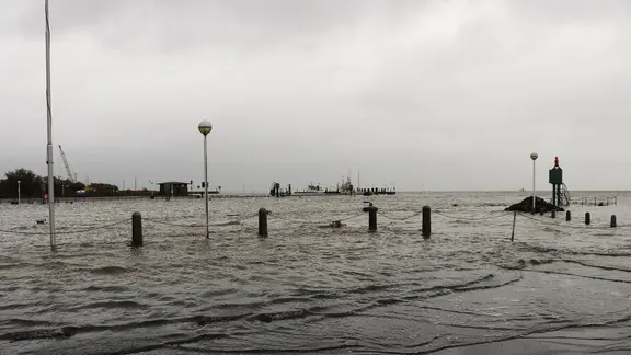 Hannover-Burgdorf trennt sich sofort von Trainer Prokop | ndr.de
