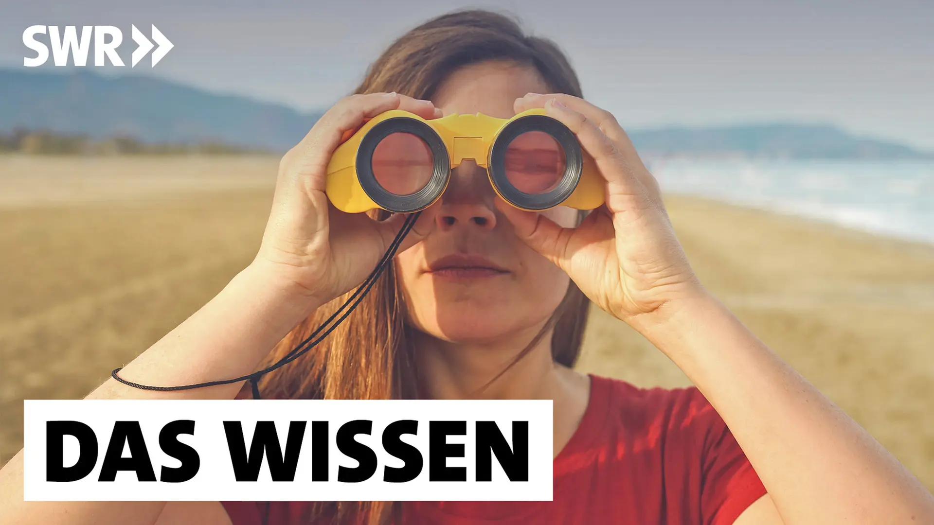 Das Wissen | ndr.de