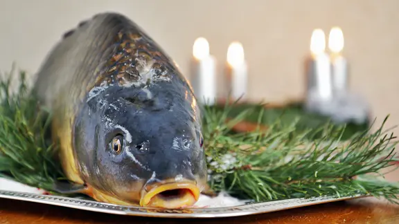 Fisch essen: Liste der wichtigsten Speisefische | ndr.de