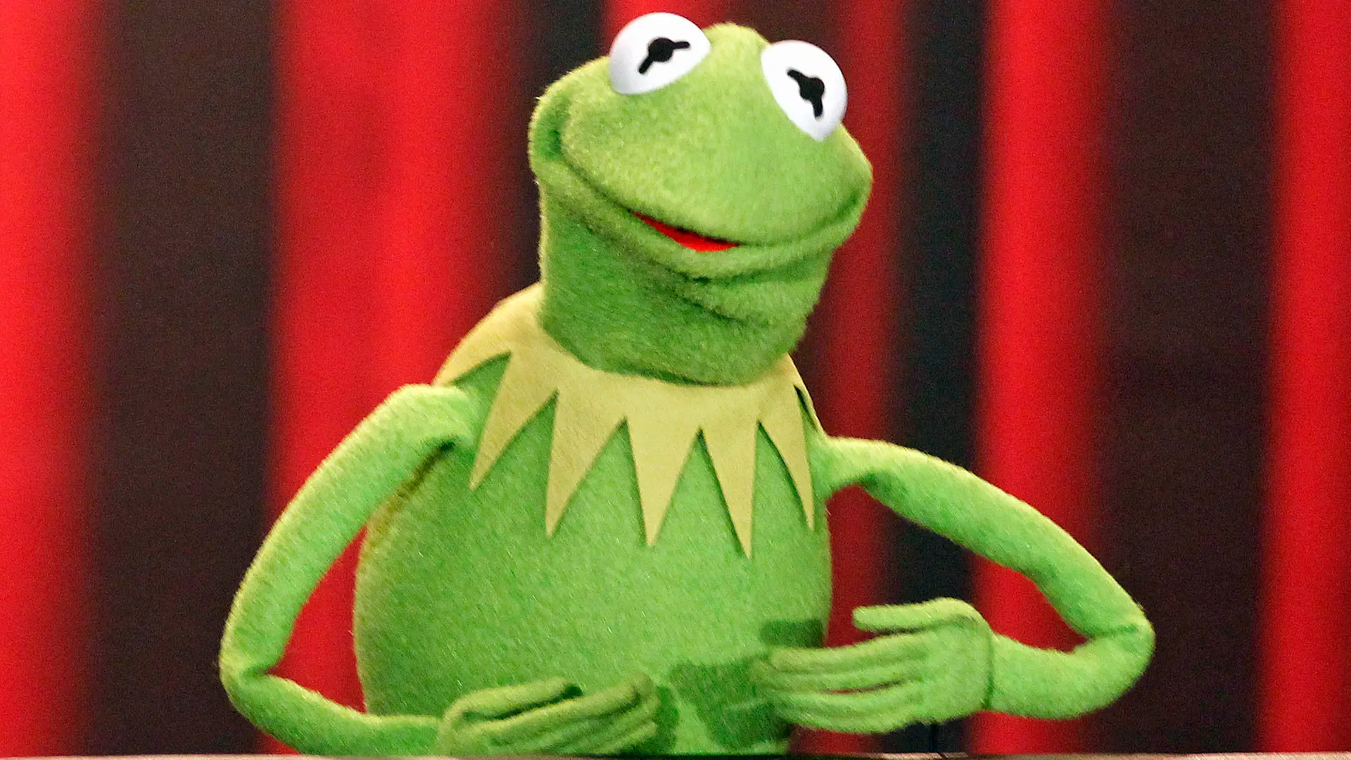 70 Jahre Kermit, der Frosch | ndr.de