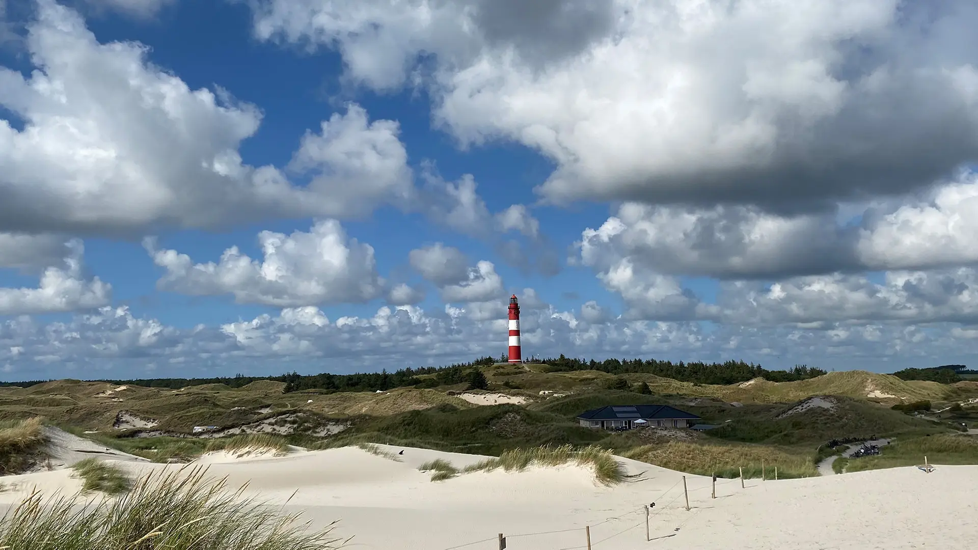 Amrum: Kleine Insel, riesiger Strand, viel Natur | ndr.de