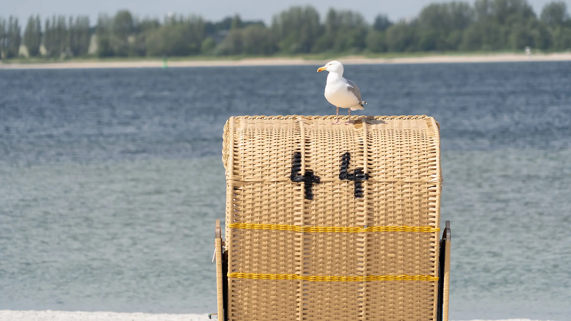 Urlaub an Nordsee und Ostsee: Das kostet ein Tag am Strand in SH | ndr.de