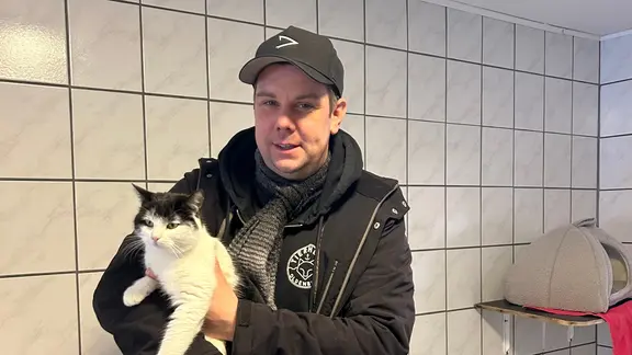 Zug-Katze "Shila": Tierheim erhält viele Bewerbungen - Bahnhof tabu ...
