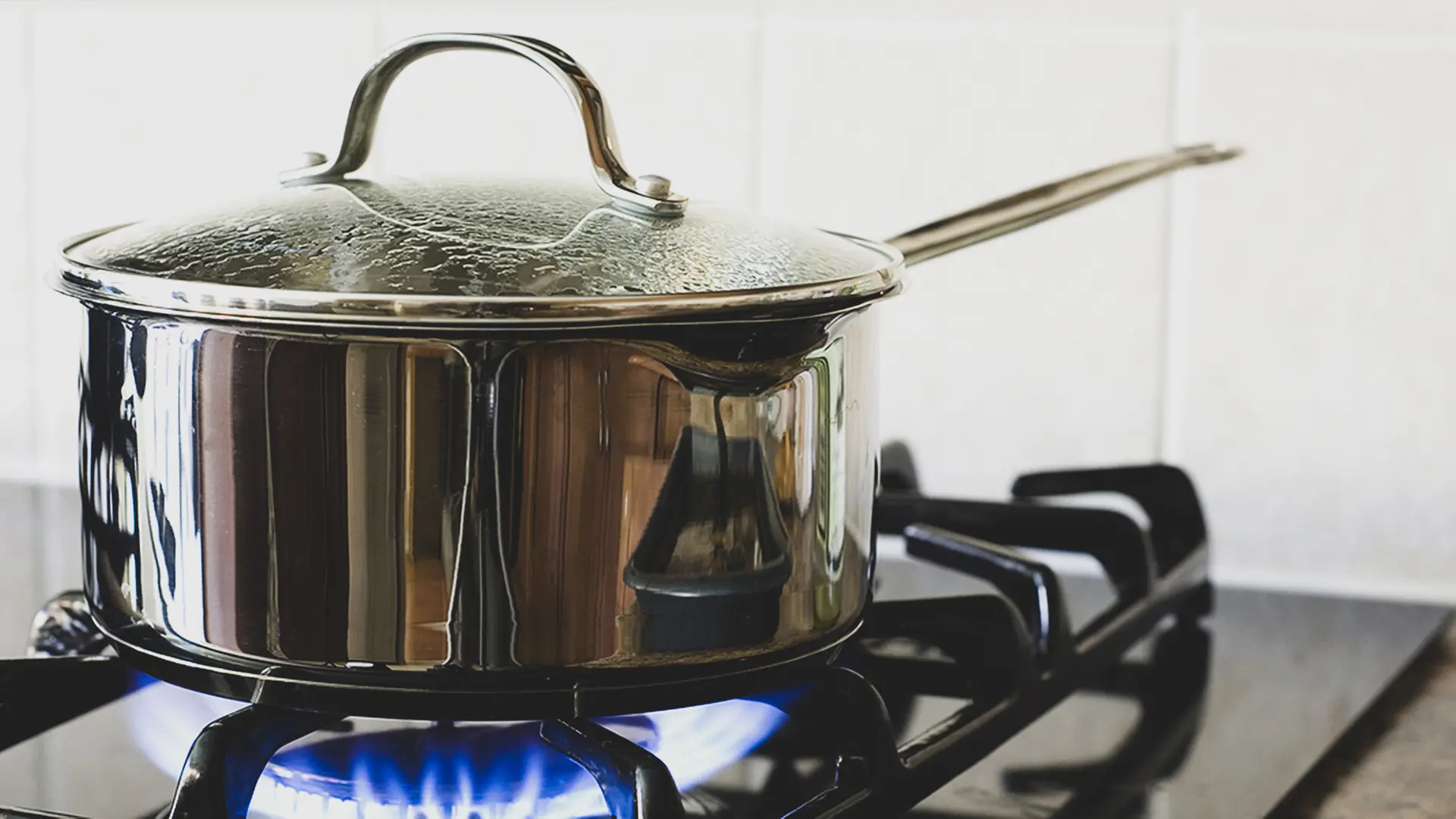 BINGO! - Die Umweltlotterie | ndr.de