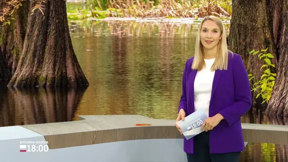 Zeitreise: 40 Jahre Schleswig-Holstein Magazin | ndr.de