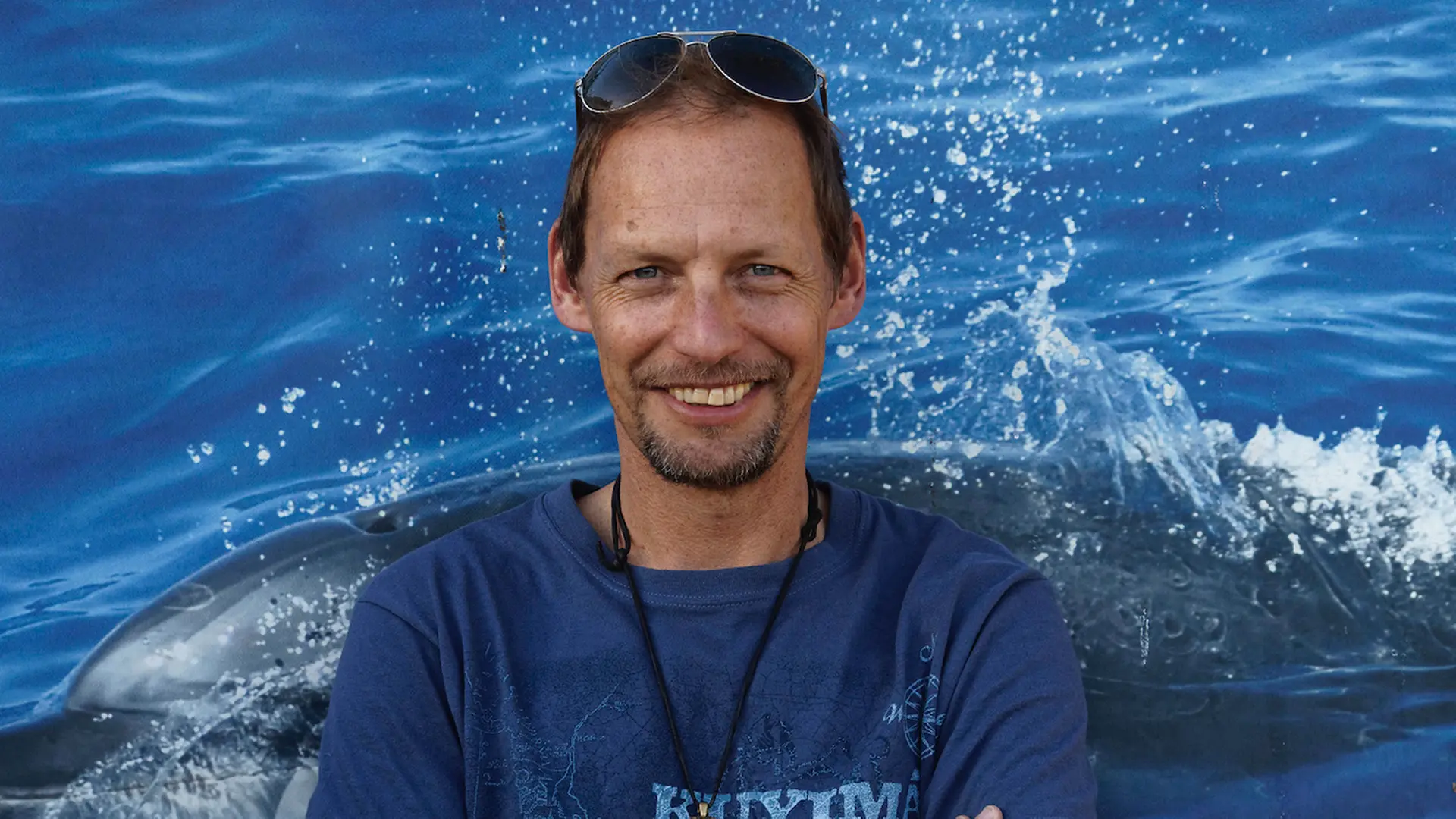 Wal-Flüsterer: Wie Fabian Ritter die Sprache der Ozeanriesen ...