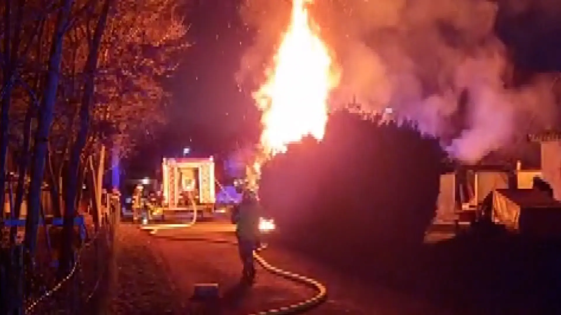 Brand nach Feuerwerk: Hecke und Tanne fangen Feuer | ndr.de