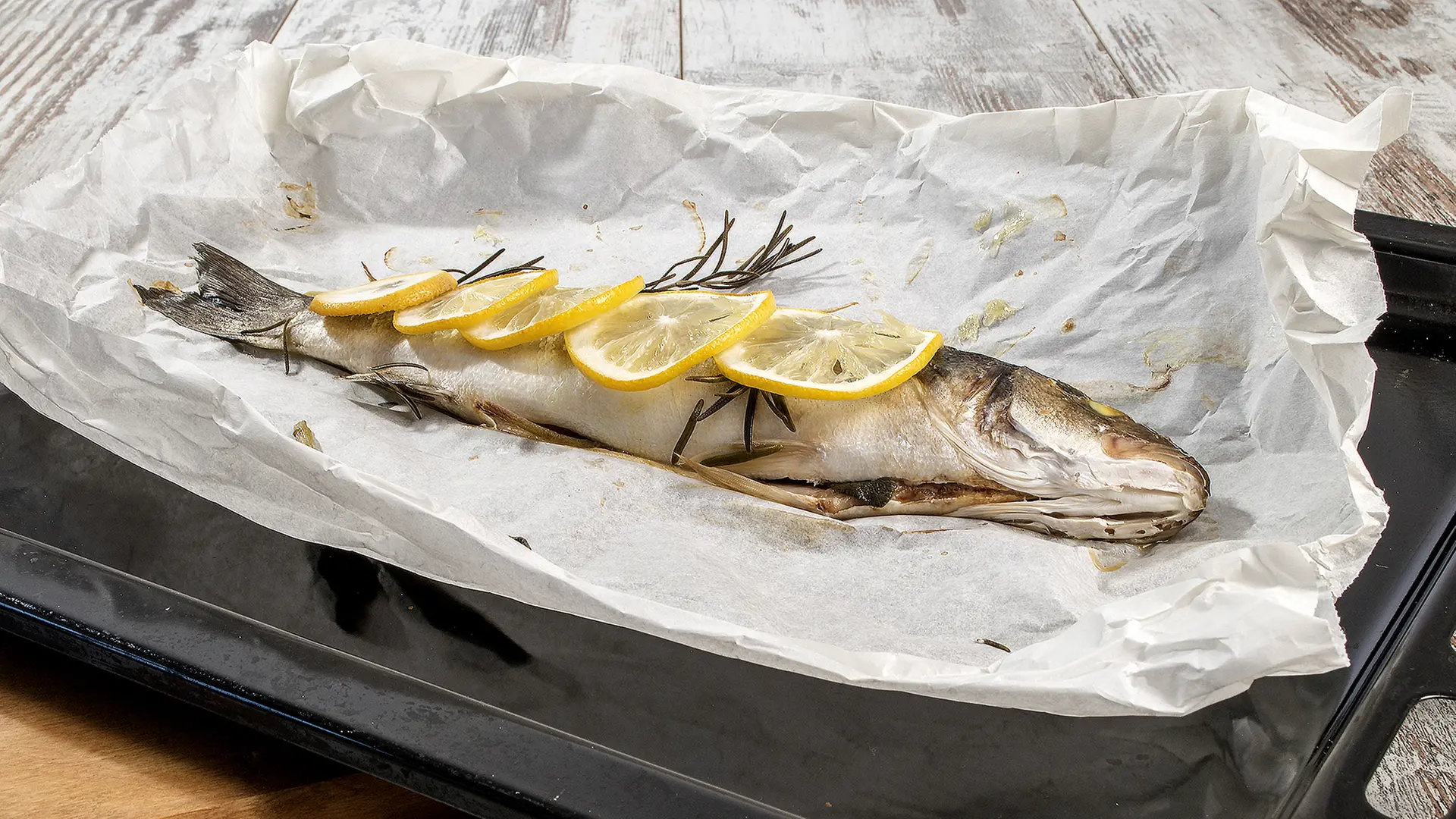 Loup de mer | ndr.de