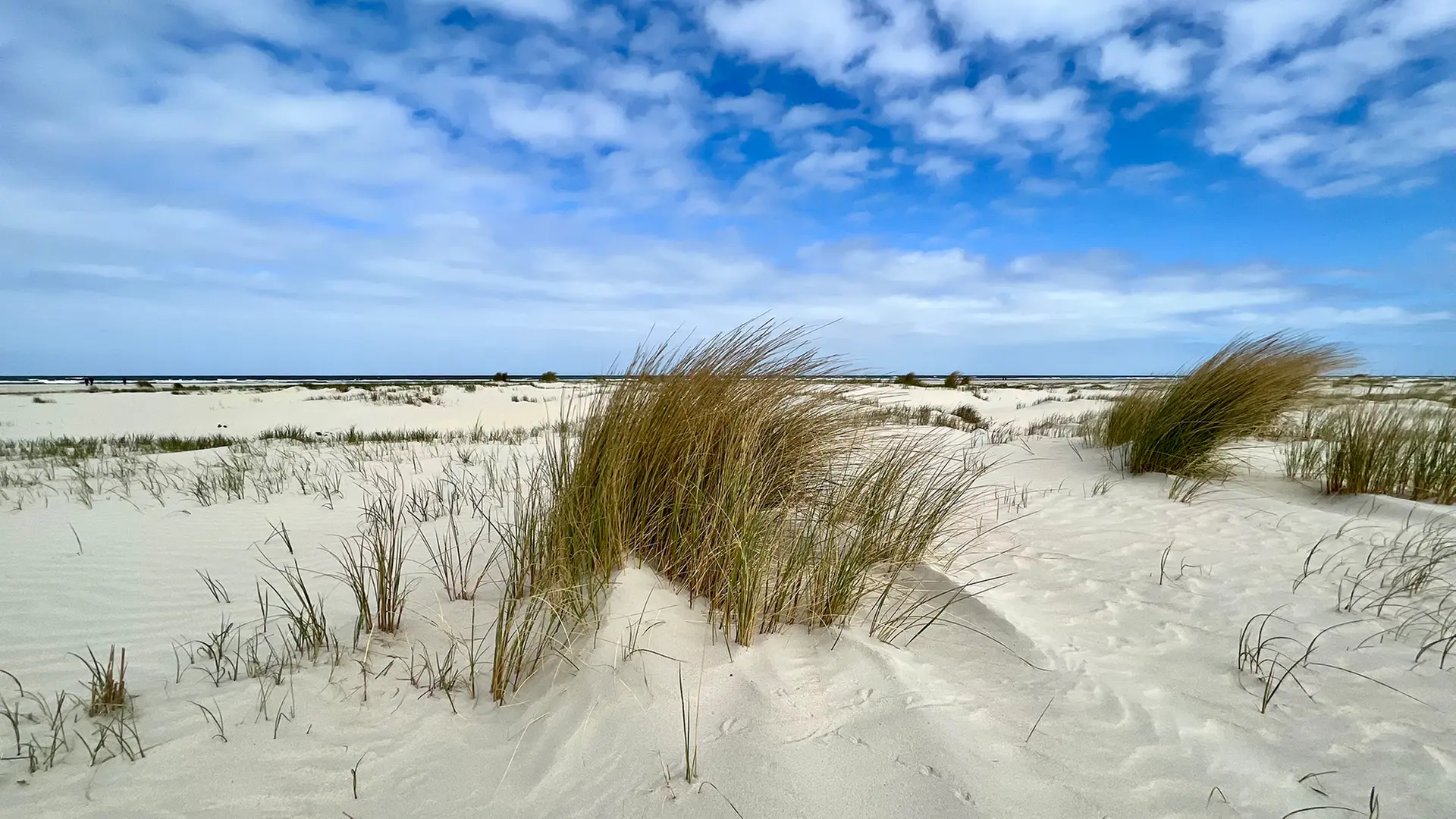 Sommer auf Juist und Norderney | ndr.de