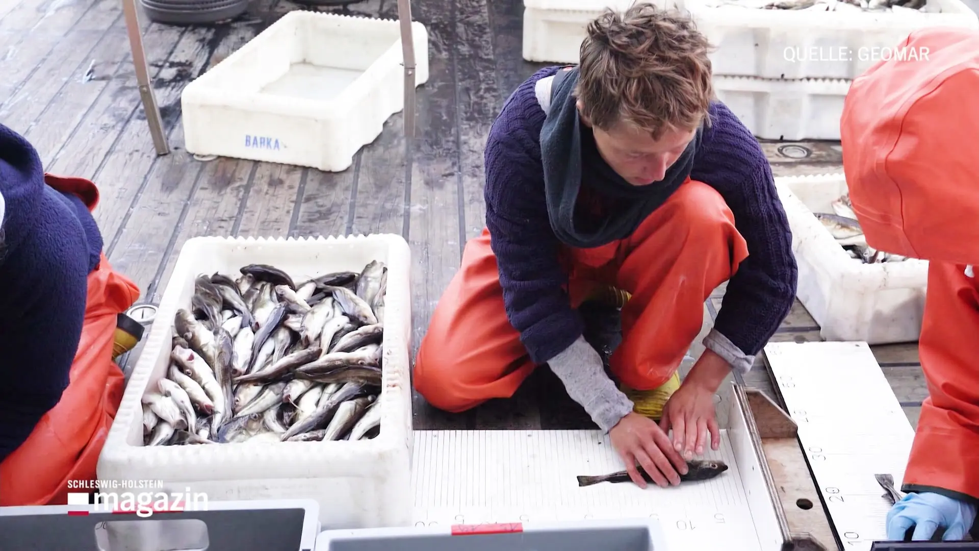 screenshot-5886.webp?width=1920