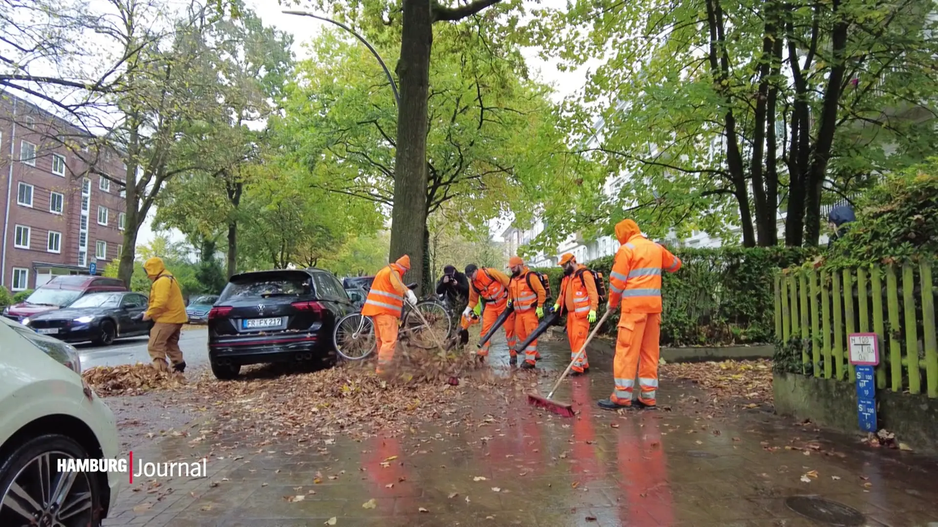 Hamburger Stadtreinigung beginnt mit dem Laubsammeln | ndr.de