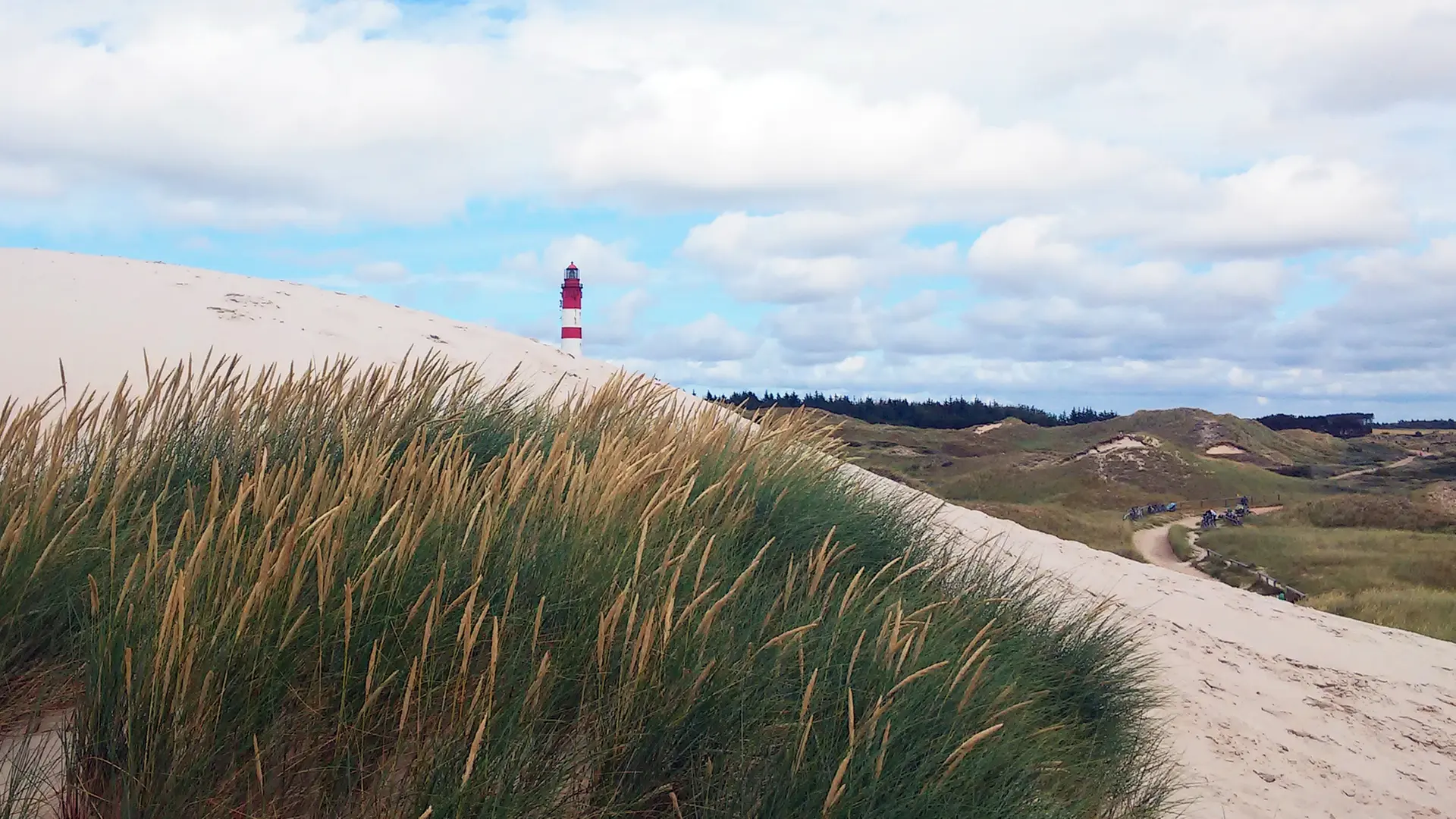 Amrum: Kleine Insel, riesiger Strand, viel Natur | ndr.de