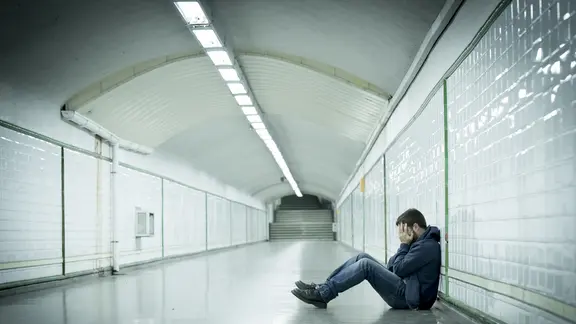 Lauren cat 2025 we tidied up, cuddled for a while, and