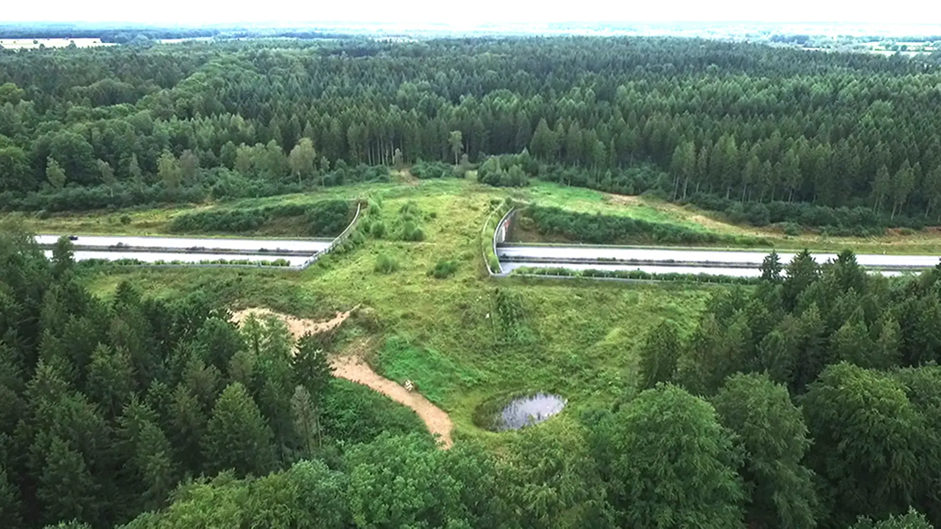 Weiterbau der A20 könnte laut Projektgesellschaft 2025 fortgesetzt ...