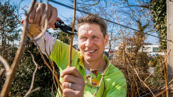 Alle Sendungen von Rasch durch den Garten | ndr.de