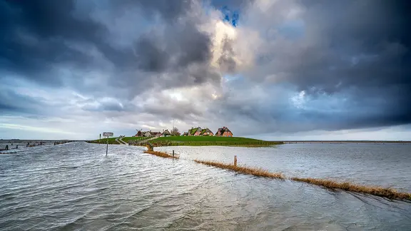 Die Halligen: Insel-Urlaub der besonderen Art | ndr.de