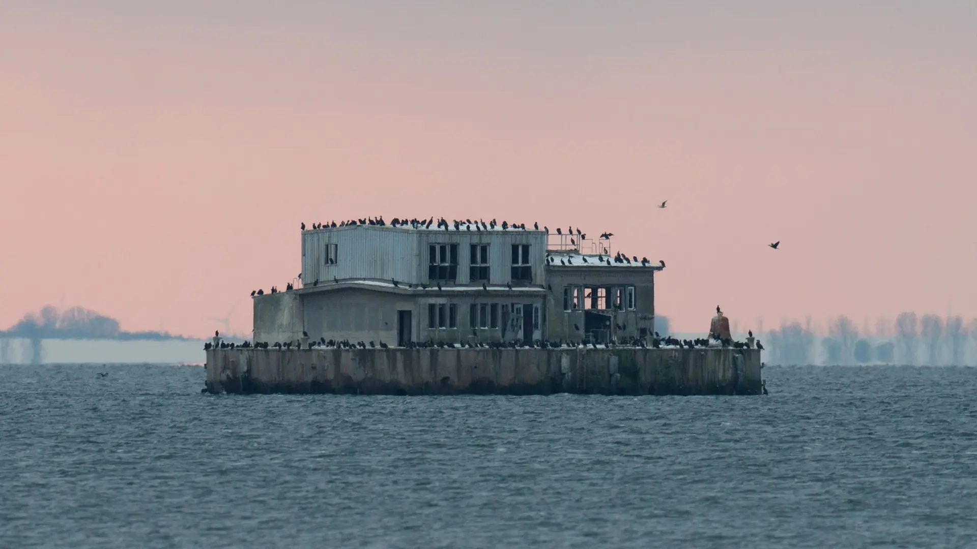 Alte Militärstation im Greifswalder Bodden wird versteigert | ndr.de