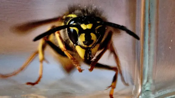 Brustwarzen schmerzen - was tun? | ndr.de